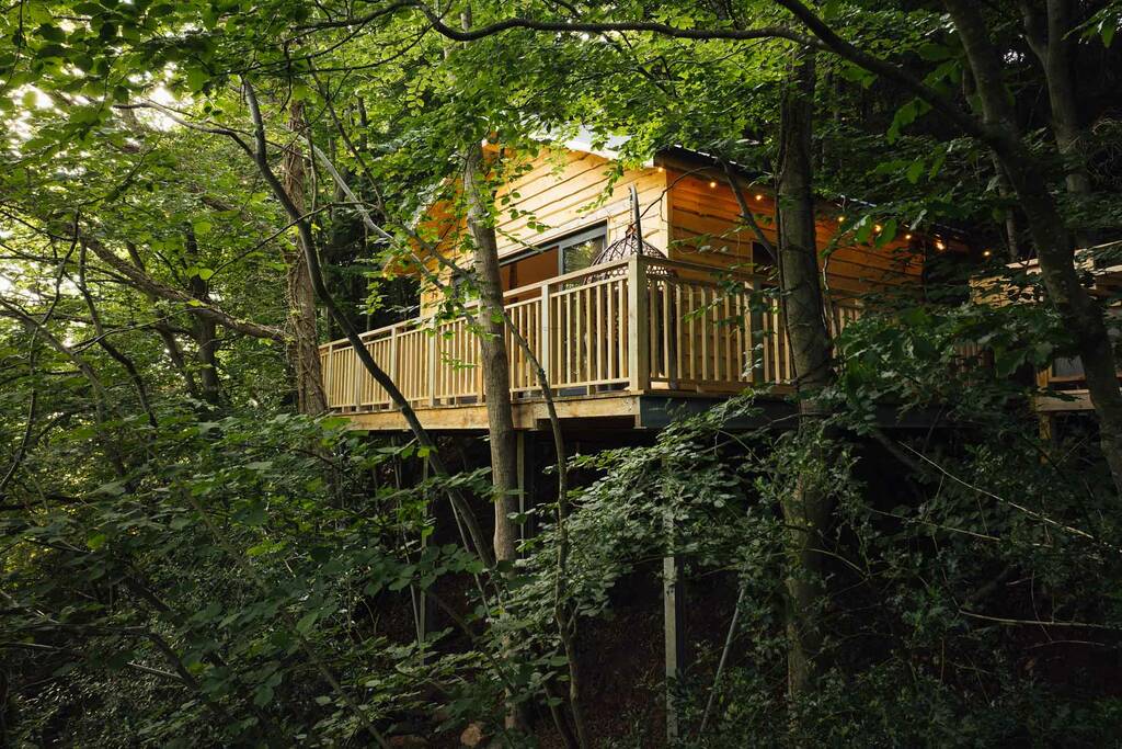 Nuthatch | Treehouse in Gloucestershire | Canopy & Stars