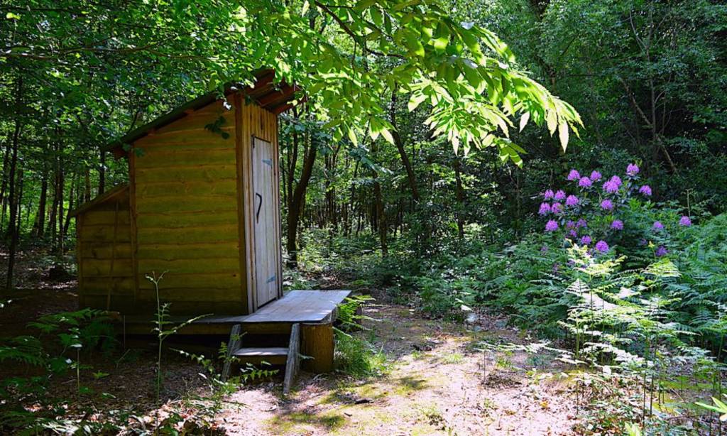Birch | Yurt in Hampshire | Canopy & Stars