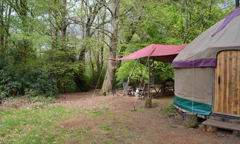 Chestnut | Yurt in Hampshire | Canopy & Stars