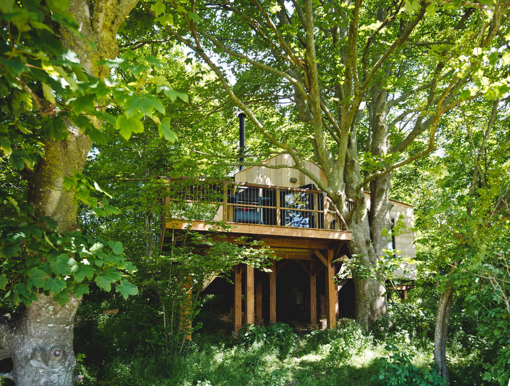 The Damselfly Treehouse | Treehouse in Hampshire | Canopy & Stars