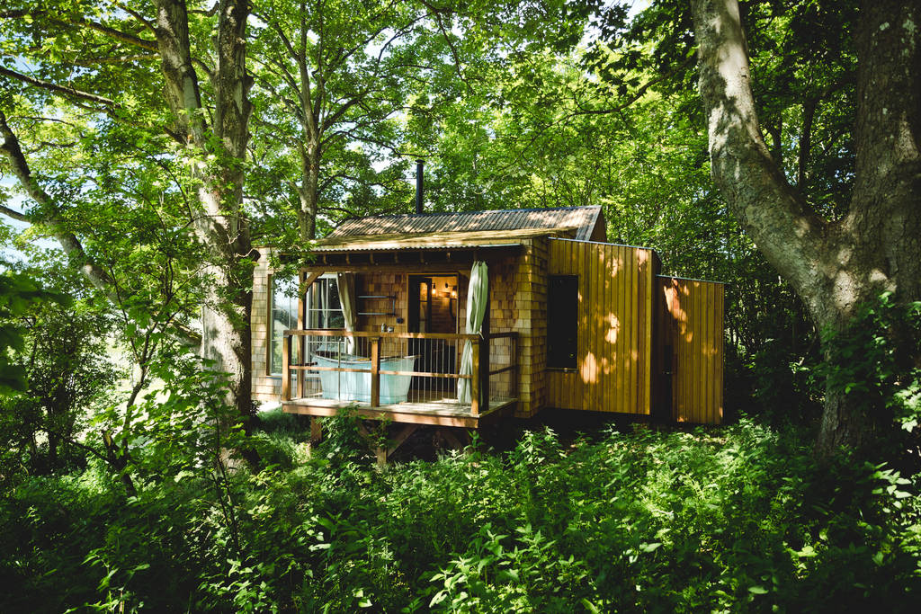 The Fallow Treehouse | Treehouse in Hampshire | Canopy & Stars