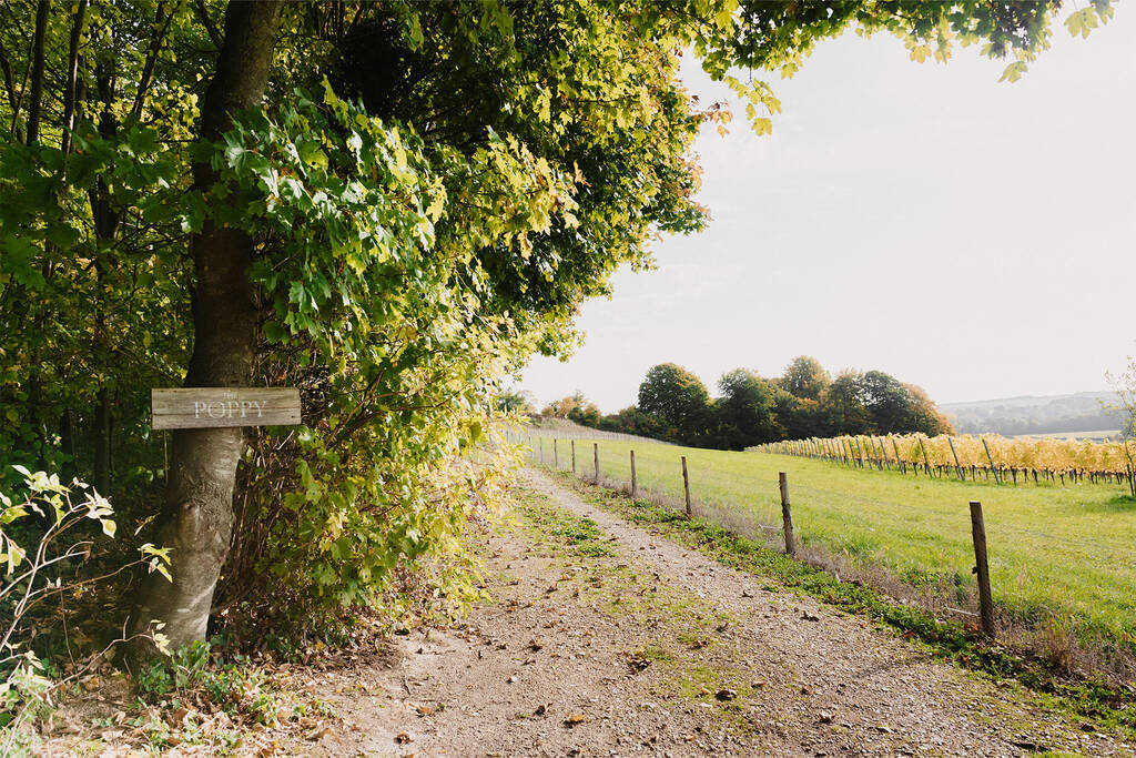 The Poppy Treehouse | Treehouse in Hampshire | Canopy & Stars