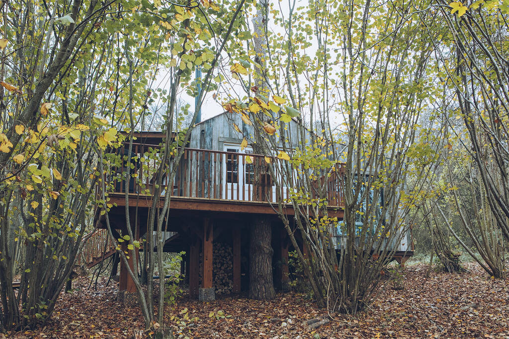 The Poppy Treehouse | Treehouse in Hampshire | Canopy & Stars