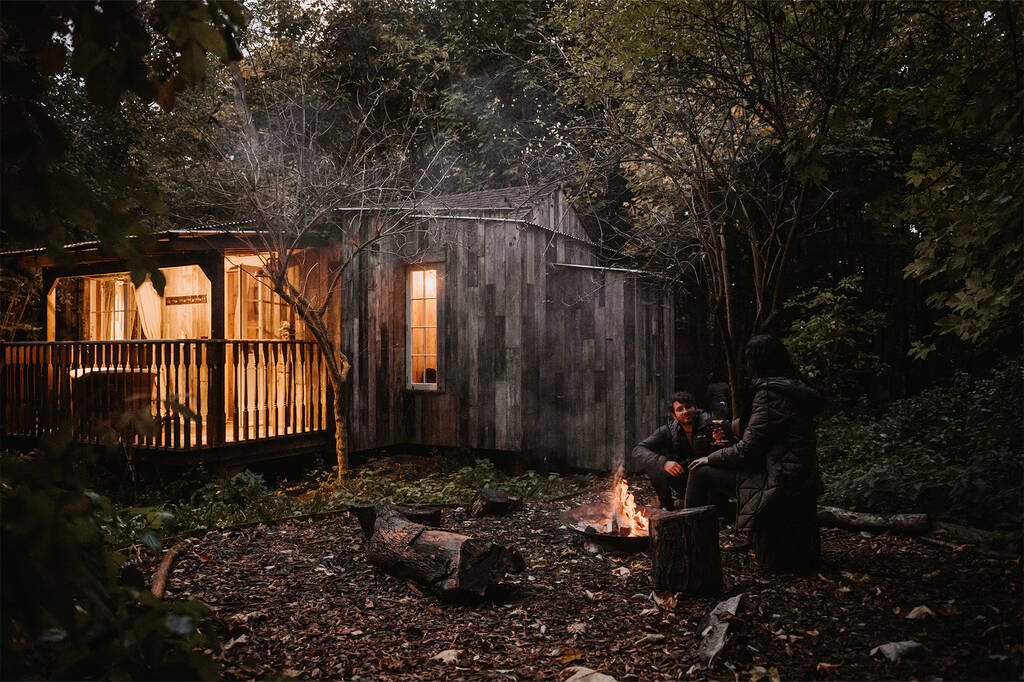 The Poppy Treehouse | Treehouse in Hampshire | Canopy & Stars