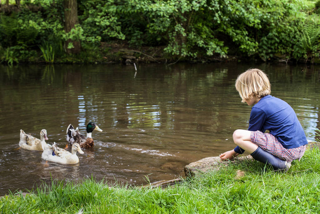 Ramming Ewe | Safari tent in Herefordshire | Canopy & Stars