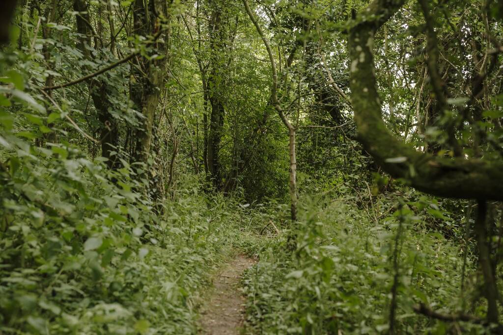Bramling Treehouse | Treehouse in Herefordshire | Canopy & Stars