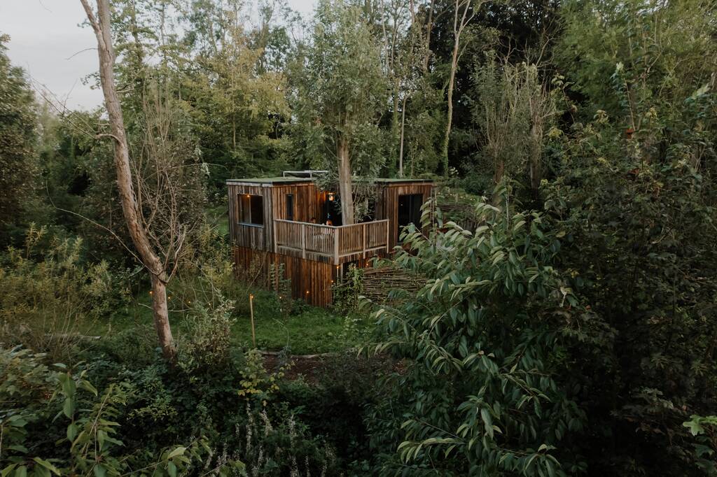 The Rook's Nook | Treehouse in Herefordshire | Canopy & Stars