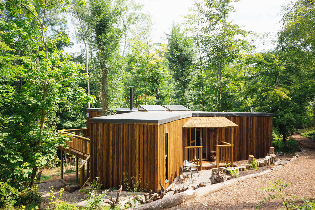 The Rook's Tower | Treehouse in Herefordshire | Canopy & Stars