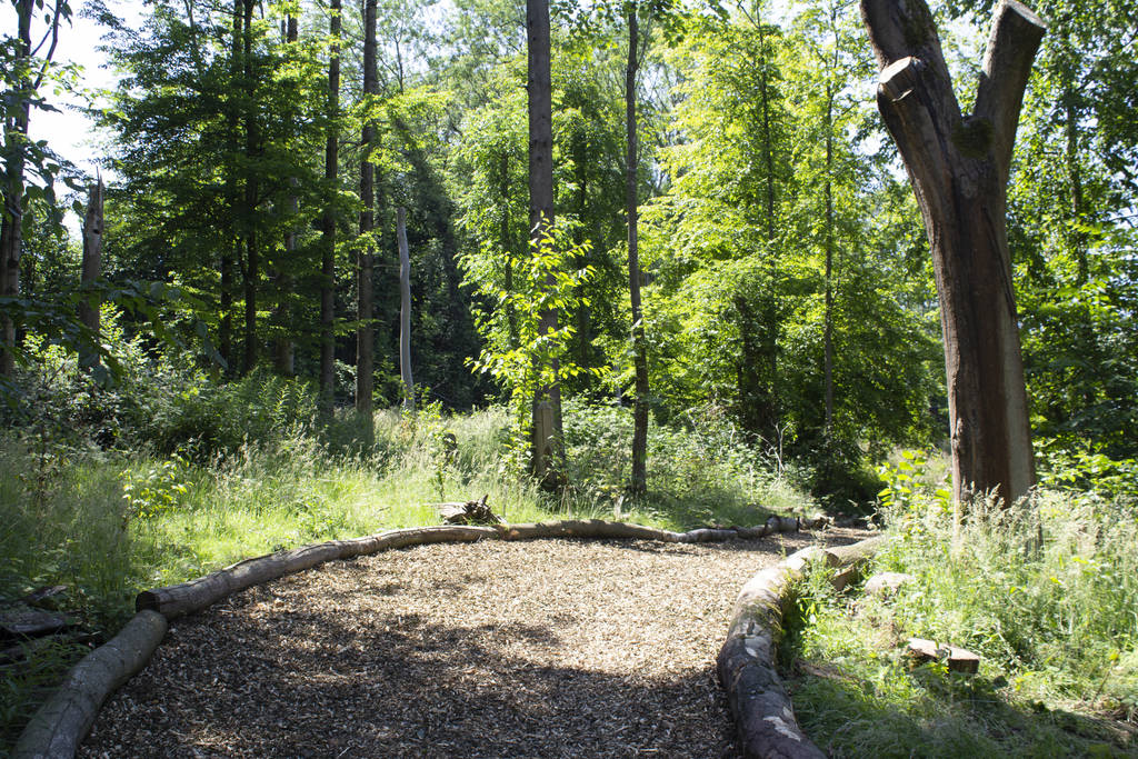 The Rook's Tower | Treehouse in Herefordshire | Canopy & Stars