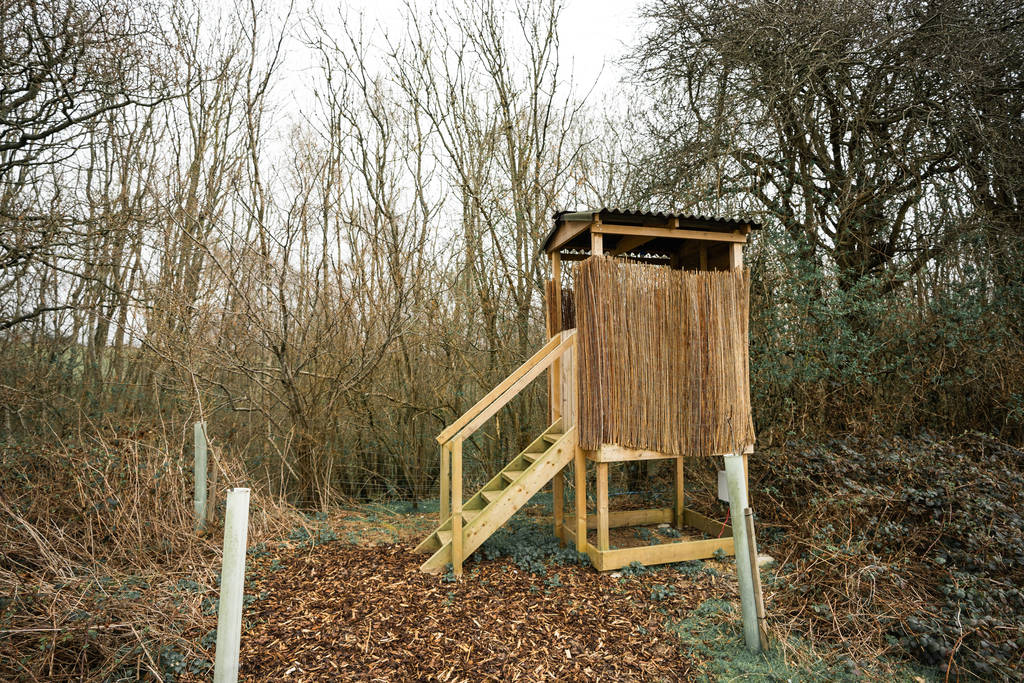 Hedgehog Hall | Cabin in Kent | Canopy & Stars