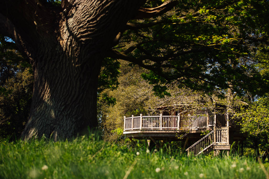 Bagthorpe Treehouse | Treehouse in Norfolk | Canopy & Stars