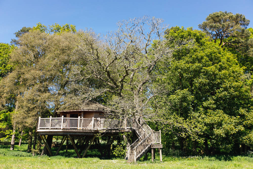 Bagthorpe Treehouse | Treehouse in Norfolk | Canopy & Stars