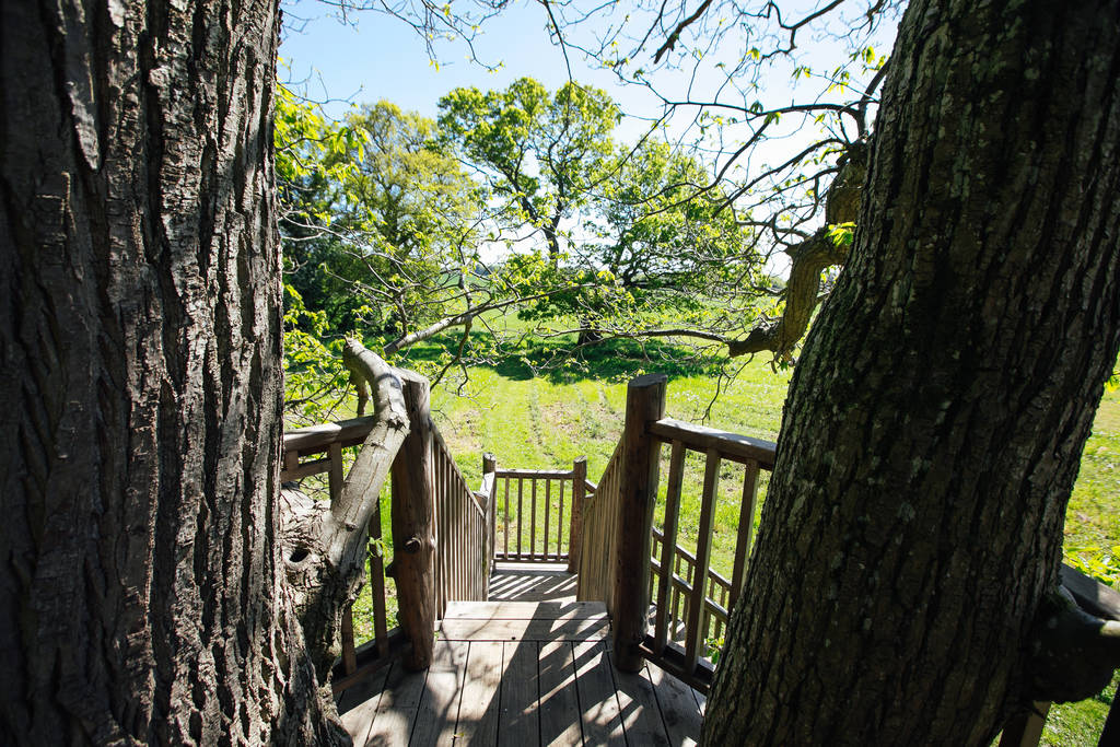 Bagthorpe Treehouse | Treehouse in Norfolk | Canopy & Stars