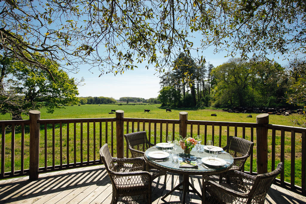 Bagthorpe Treehouse | Treehouse in Norfolk | Canopy & Stars