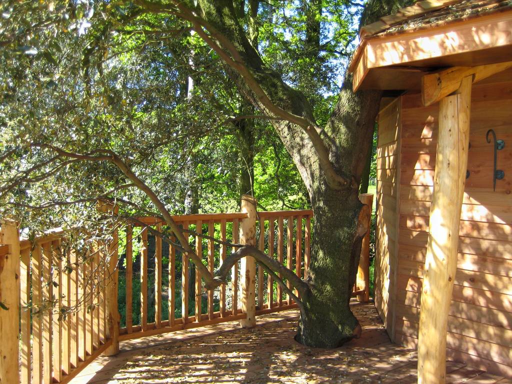 Bagthorpe Treehouse | Treehouse in Norfolk | Canopy & Stars