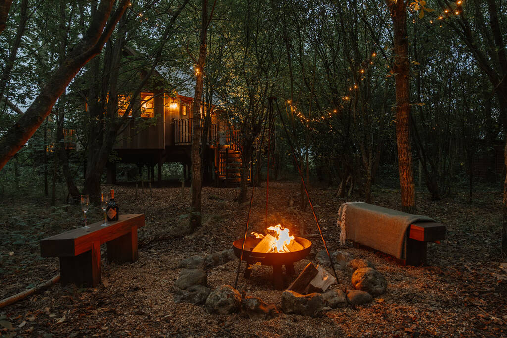 Panford Beck Treehouse | Treehouse in Norfolk | Canopy & Stars