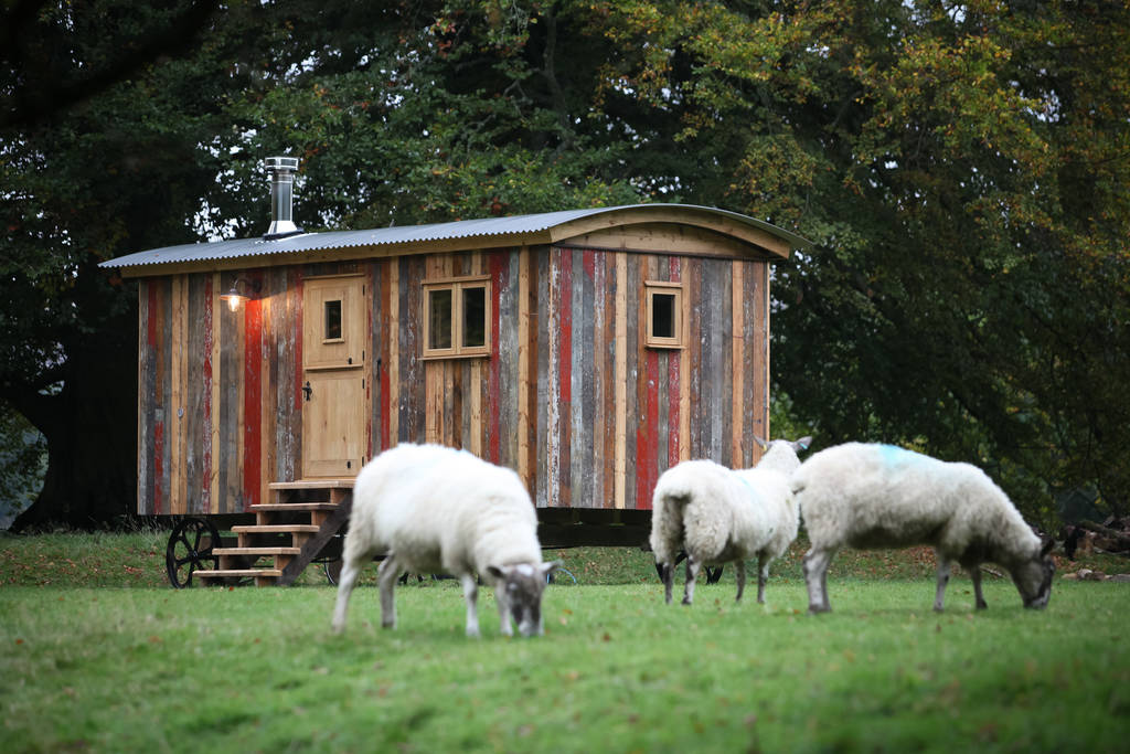 Bracken Hut | Shepherd's hut in Northumberland | Canopy & Stars