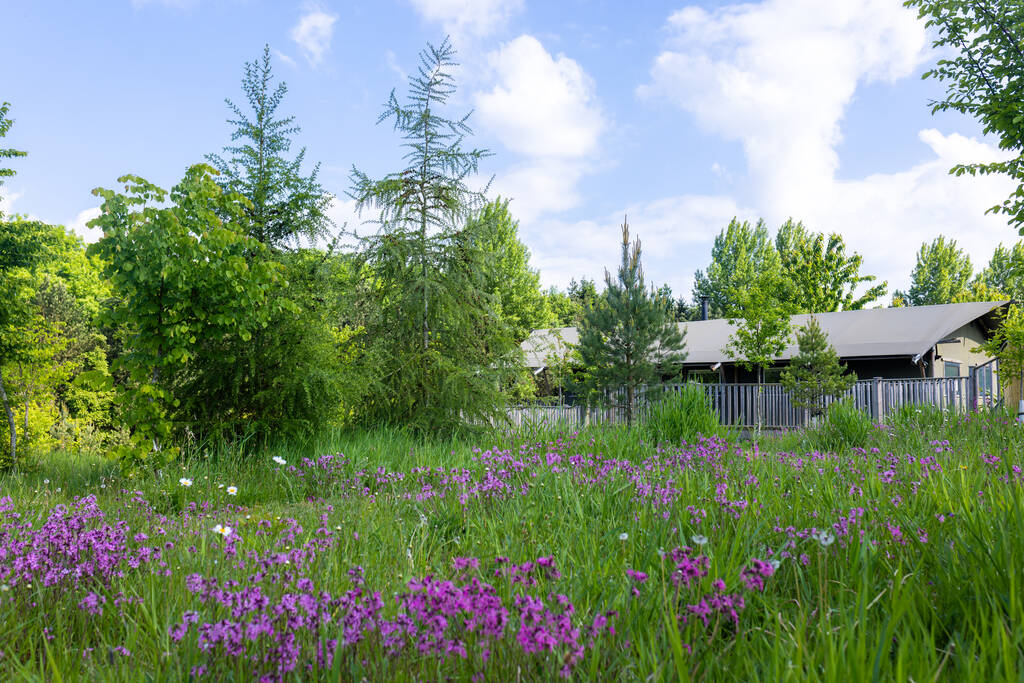 Kestrel | Cabin in Nottinghamshire | Canopy & Stars