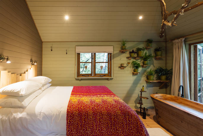 The Owl House | Treehouse in Shropshire | Canopy & Stars