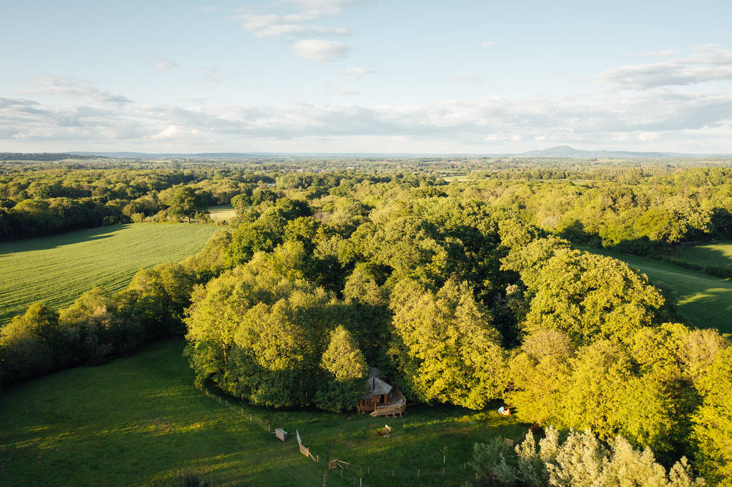 The Owl House | Treehouse in Shropshire | Canopy & Stars