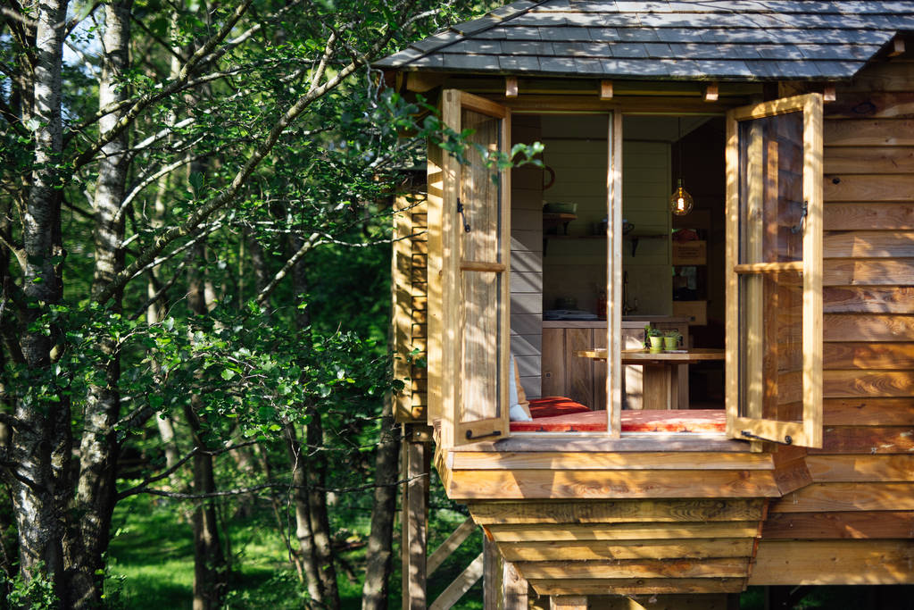 The Owl House | Treehouse in Shropshire | Canopy & Stars