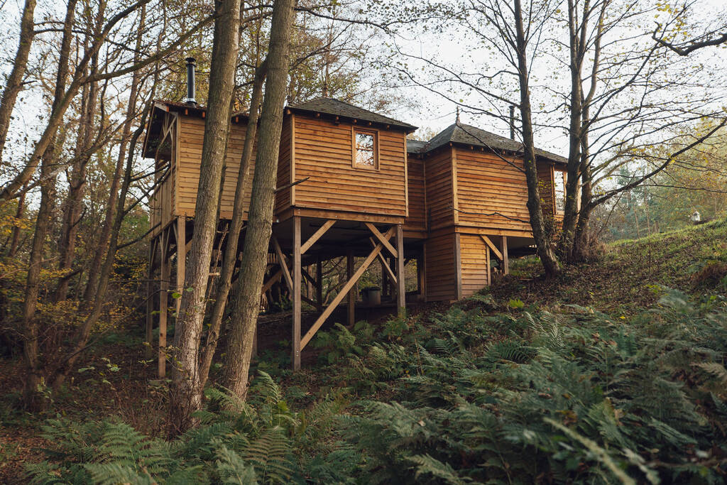 The Owl House | Treehouse in Shropshire | Canopy & Stars