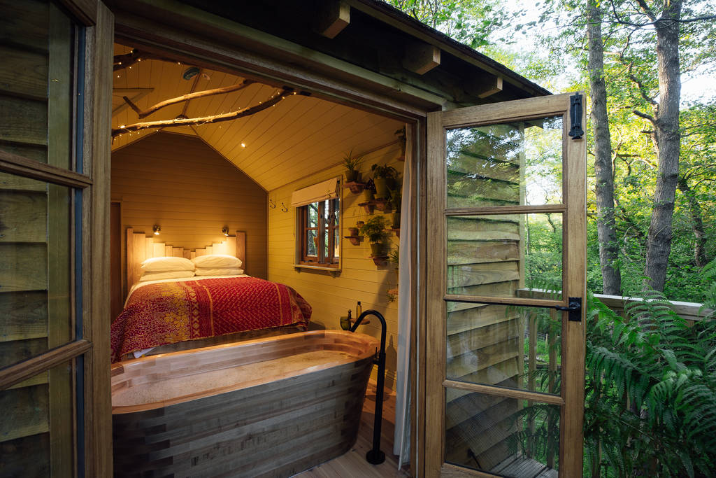The Owl House | Treehouse in Shropshire | Canopy & Stars