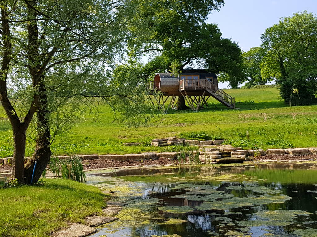 Cheriton Treehouse | Treehouse in Somerset | Canopy & Stars