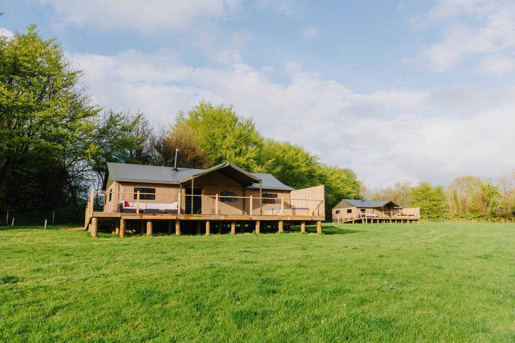 Fauna | Safari tent in Devon | Canopy & Stars