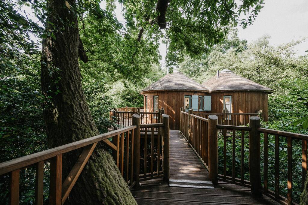 Harptree Tree House | Treehouse in Bath & N.E. Somerset | Canopy & Stars