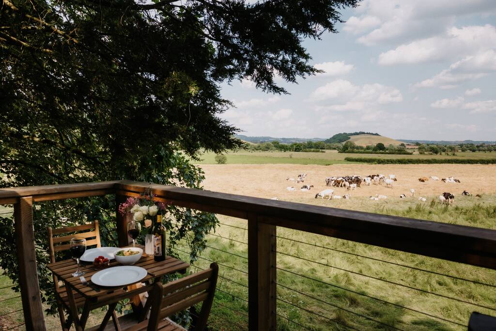 Dabinett Treehouse | Treehouse in Somerset | Canopy & Stars
