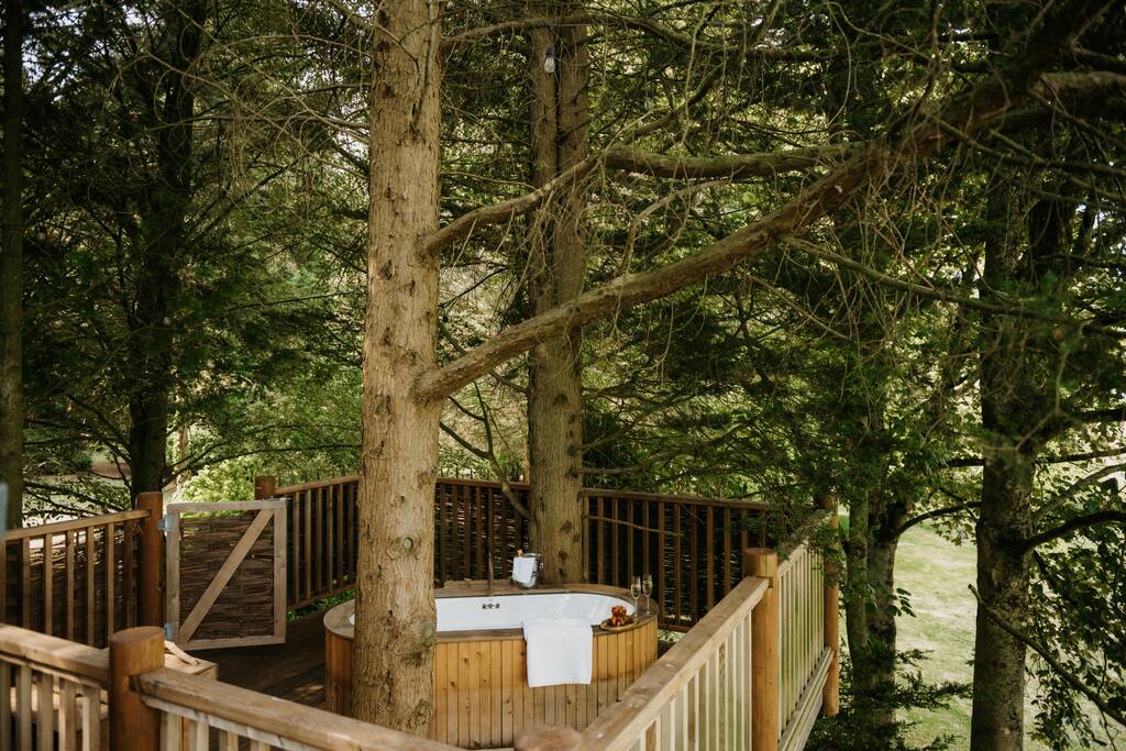 Dabinett Treehouse | Treehouse in Somerset | Canopy & Stars