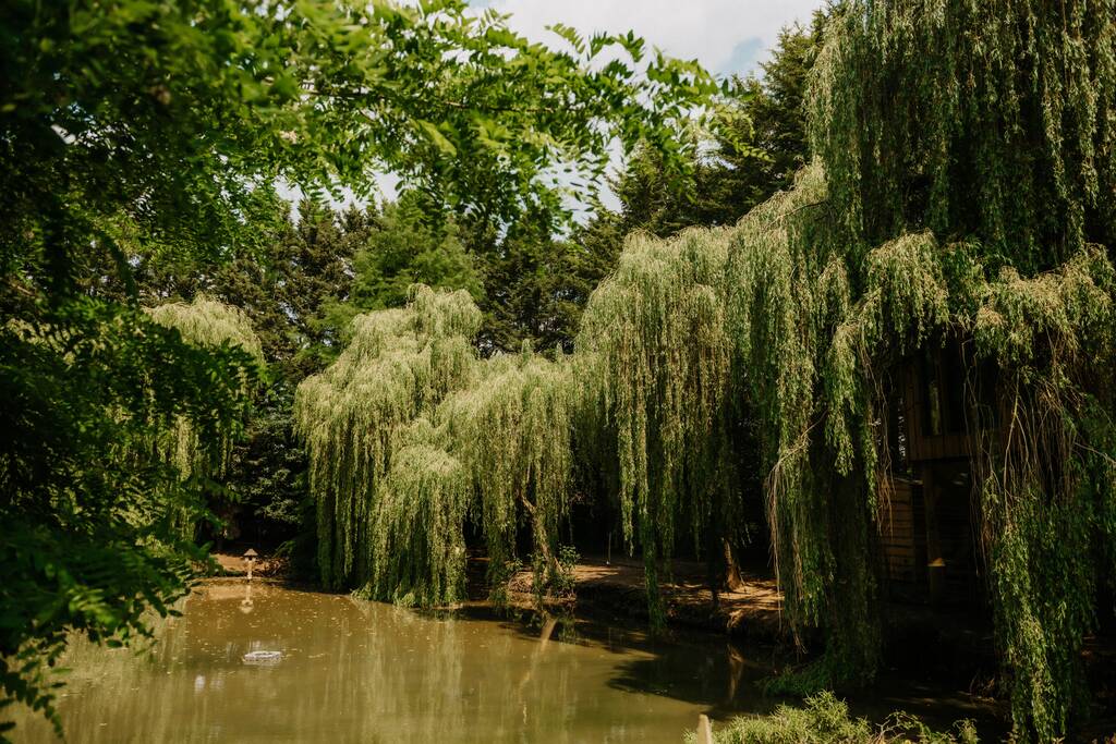 Dabinett Treehouse | Treehouse in Somerset | Canopy & Stars