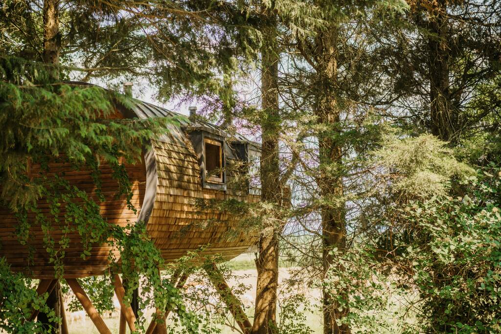 Dabinett Treehouse | Treehouse in Somerset | Canopy & Stars