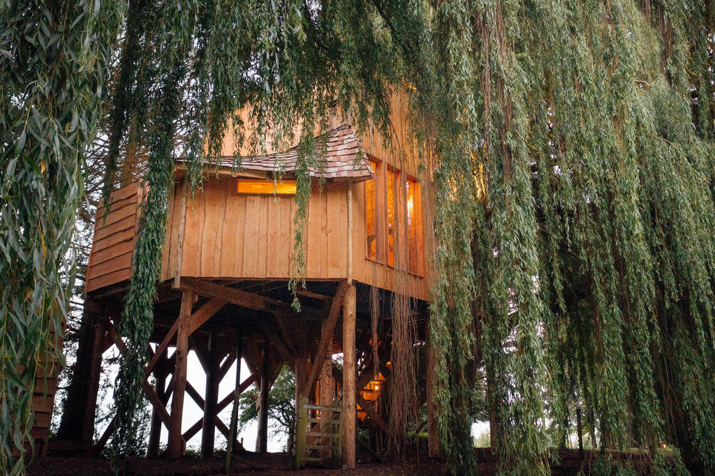 Pomeroy Treehouse | Treehouse in Somerset | Canopy & Stars