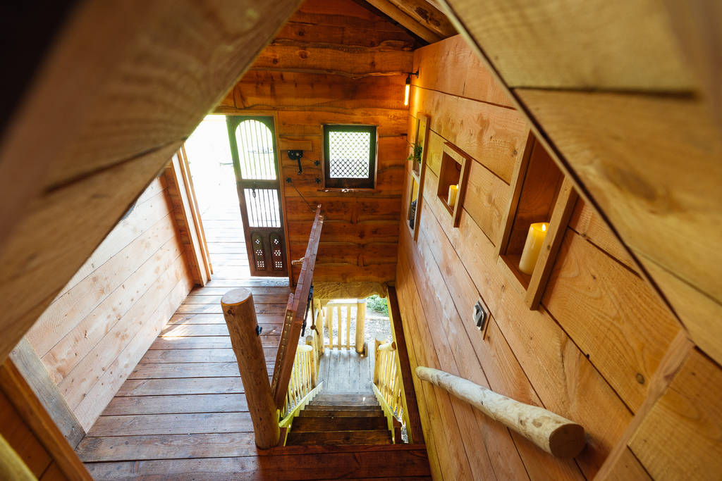 Pomeroy Treehouse | Treehouse in Somerset | Canopy & Stars