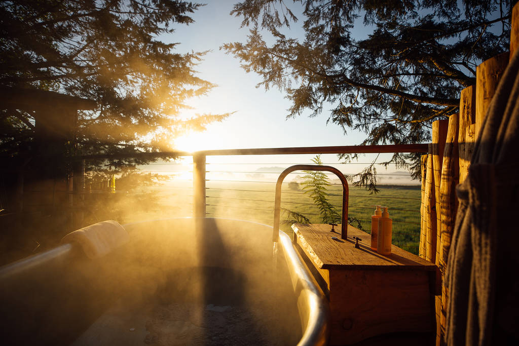 Pomeroy Treehouse | Treehouse in Somerset | Canopy & Stars