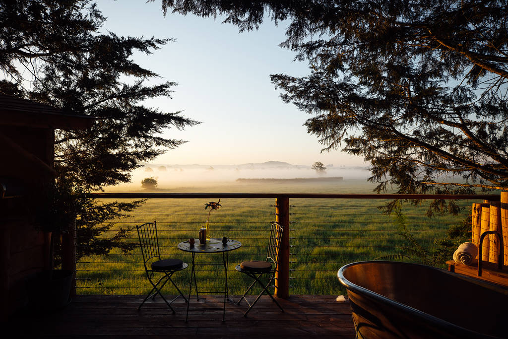 Pomeroy Treehouse | Treehouse in Somerset | Canopy & Stars