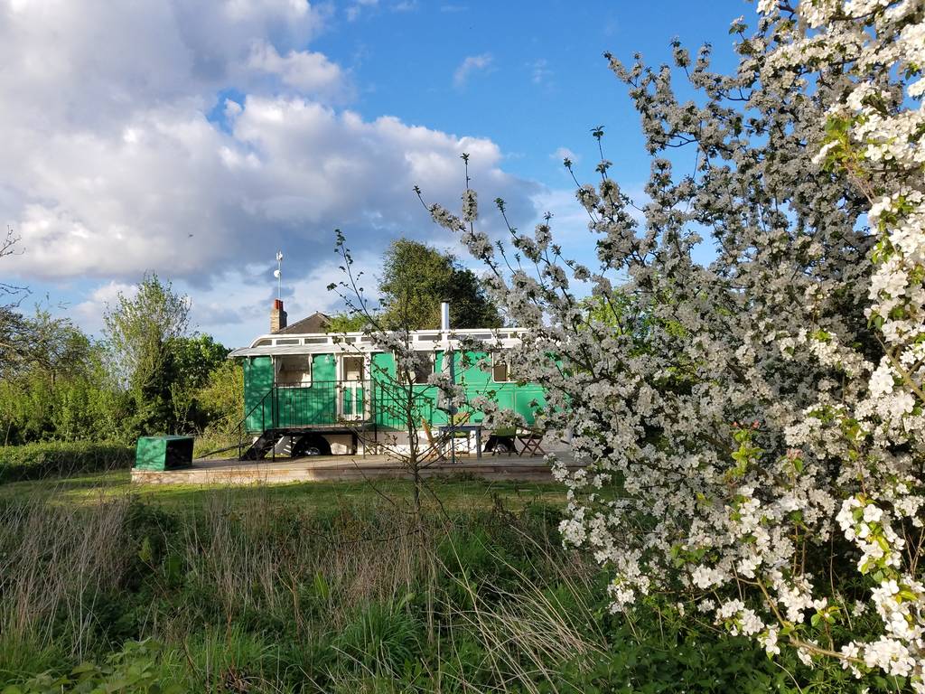Green Fairground Wagon | Wagon in Suffolk | Canopy & Stars