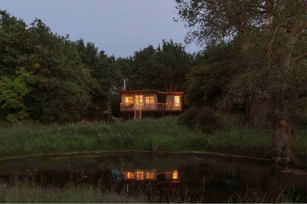 The Shellter | Treehouse in Suffolk | Canopy & Stars