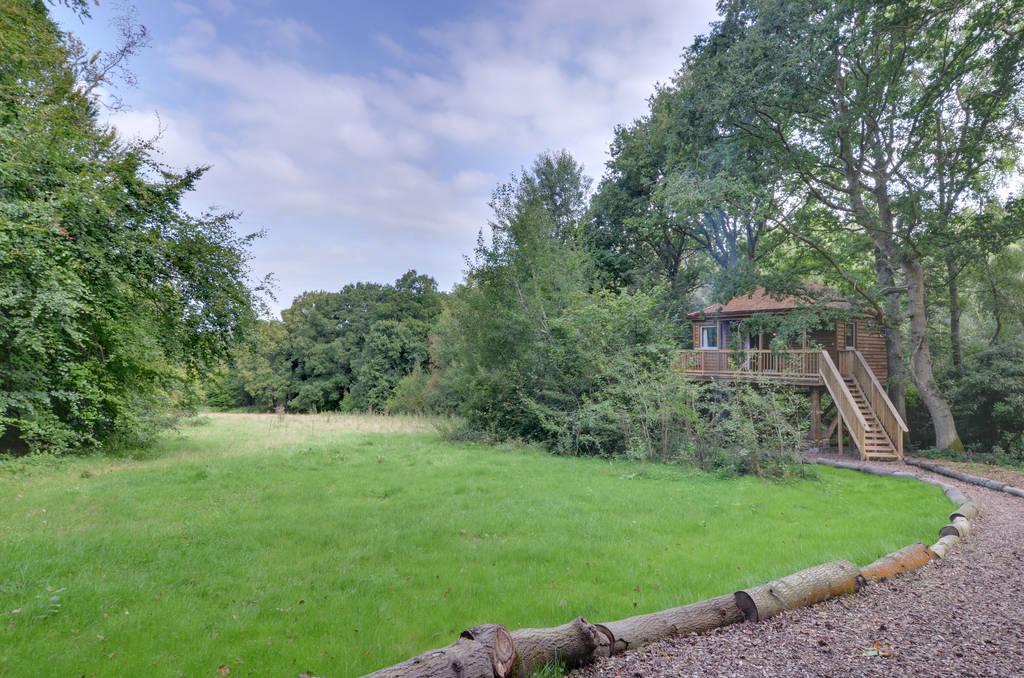 Tinkers Treehouse | Treehouse in East Sussex | Canopy & Stars