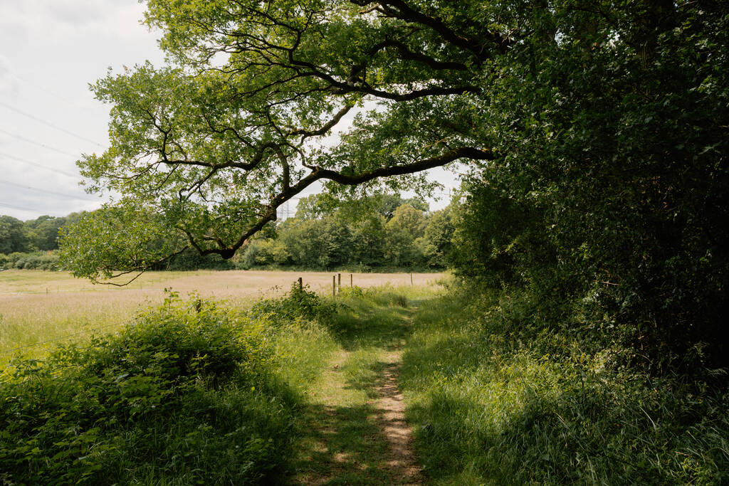 Hawthorn Hideaway | Shepherd's hut in Sussex | Canopy & Stars