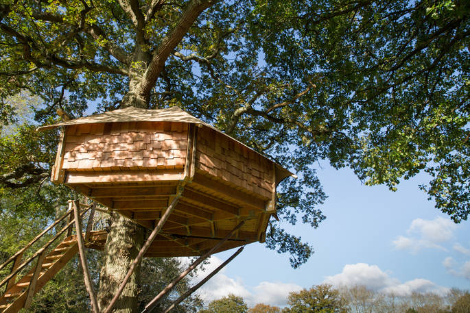 Tawny Owl Treehouse | Treehouse in Sussex | Canopy & Stars
