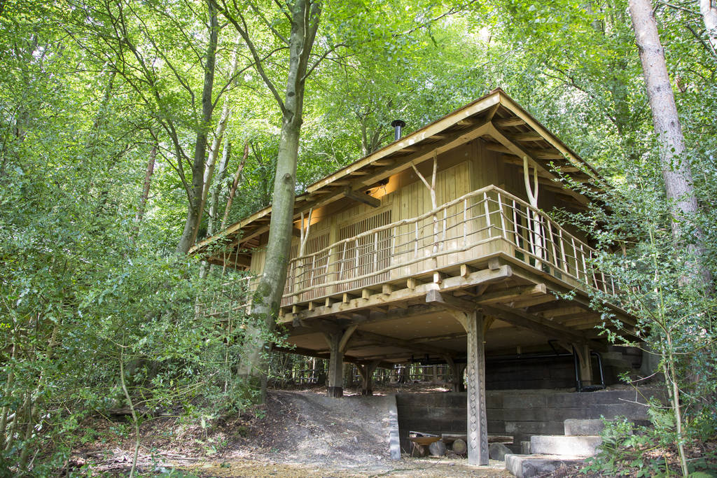 Dumbledore at Wilderness Wood | Treehouse in Sussex | Canopy & Stars