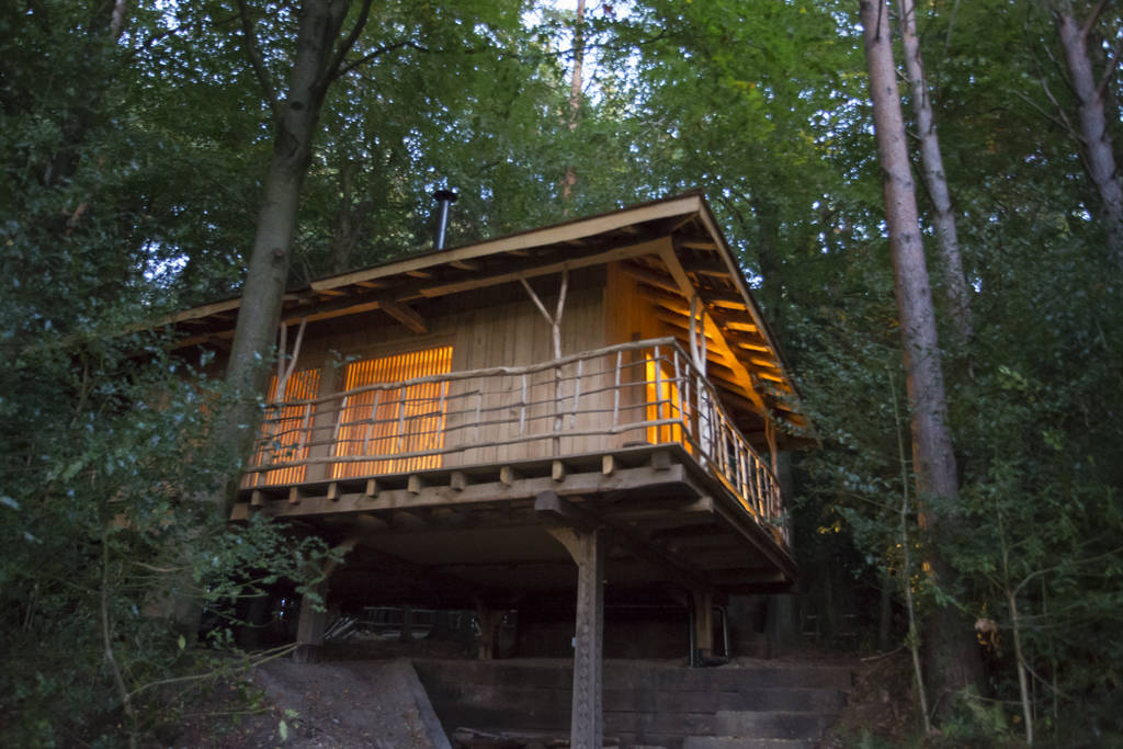 Dumbledore at Wilderness Wood | Treehouse in Sussex | Canopy & Stars