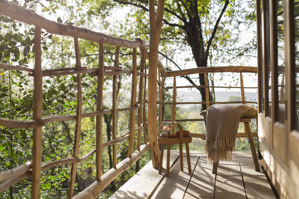 Dumbledore at Wilderness Wood | Treehouse in Sussex | Canopy & Stars