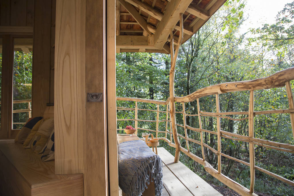 Dumbledore at Wilderness Wood | Treehouse in Sussex | Canopy & Stars
