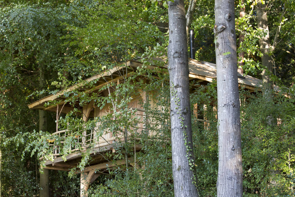 Yaffle at Wilderness Wood | Treehouse in Sussex | Canopy & Stars