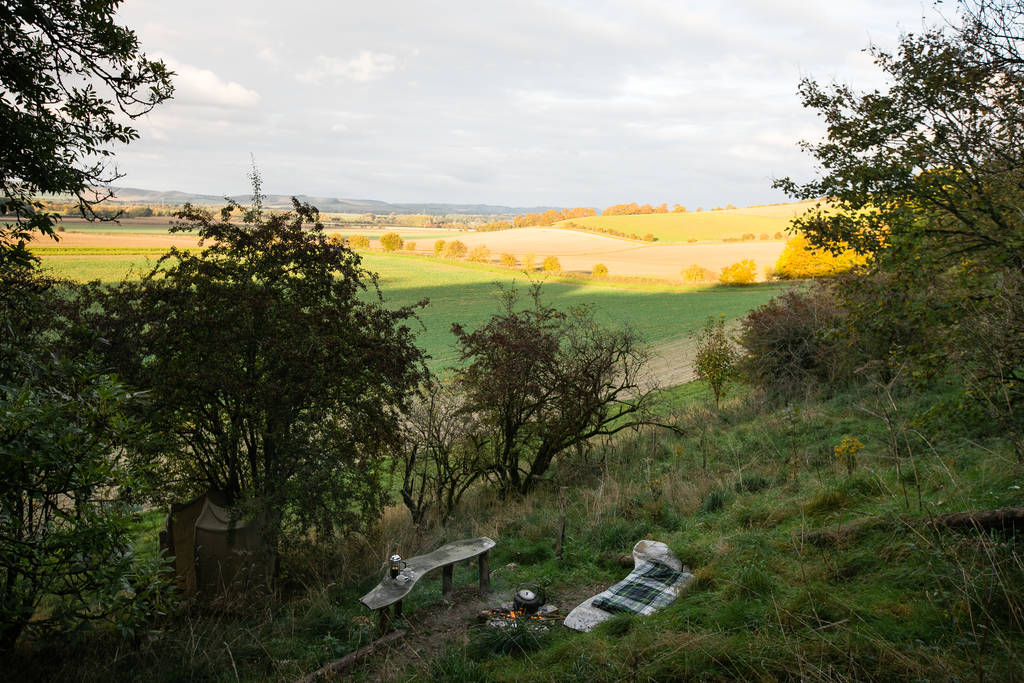 Puckshipton Treehouse | Treehouse in Wiltshire | Canopy & Stars