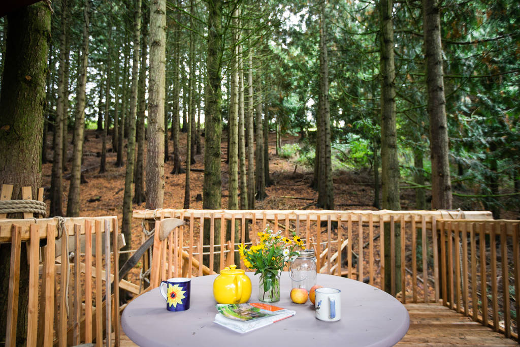 Puckshipton Treehouse | Treehouse in Wiltshire | Canopy & Stars
